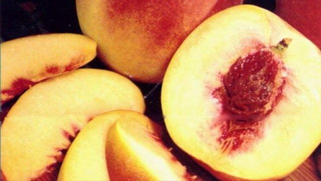 Peach season underway at orchards across Virginia